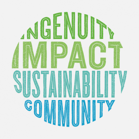 BlueHub Annual Reports and Financial Statements